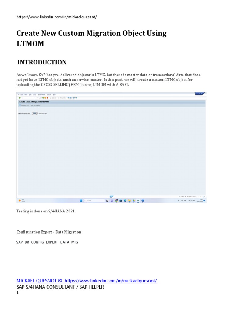Create_New_Custom_Migration_Object_Using_LTMOM_1689948040 | PDF | Information Technology ...