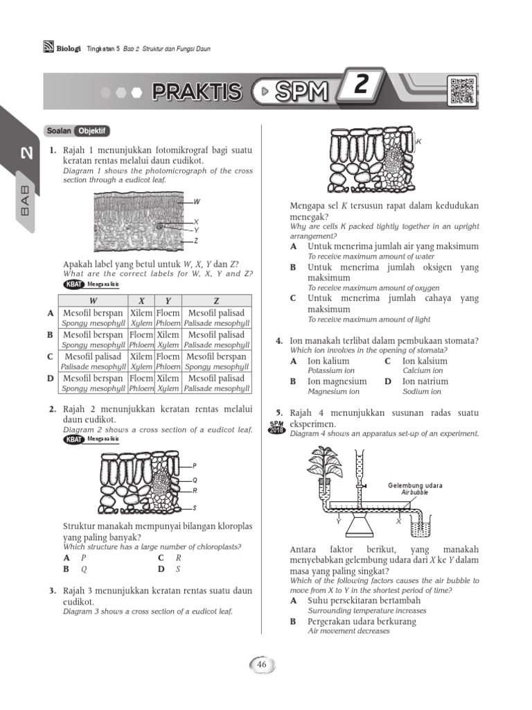 Praktis Biologi Bab 2 T5? | PDF