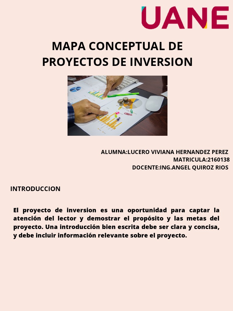 Mapa Conceptual Proyecto de Inversion | PDF