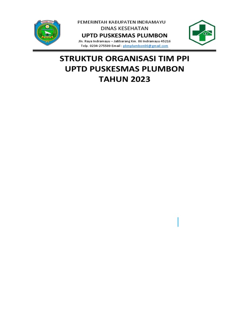 Struktur Organisasi Tim Ppi | PDF