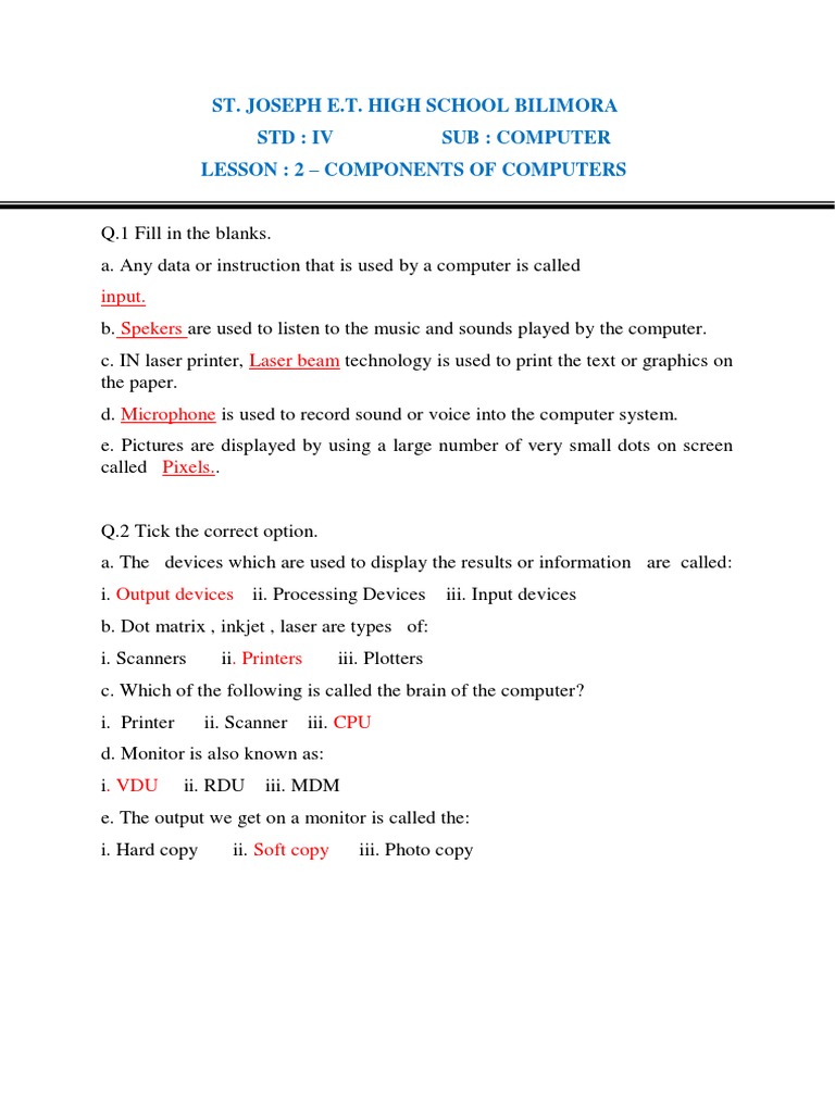 Lesson 2 | PDF | Printer (Computing) | Input/Output
