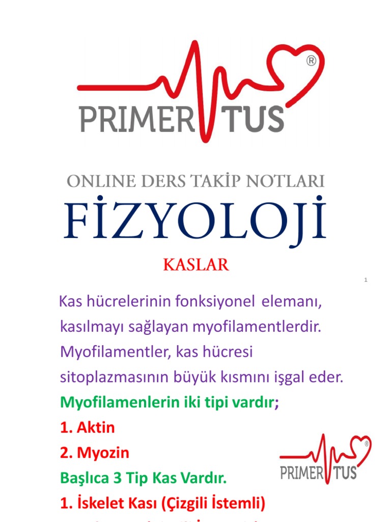 Fi̇zyoloji̇ Kaslar | PDF