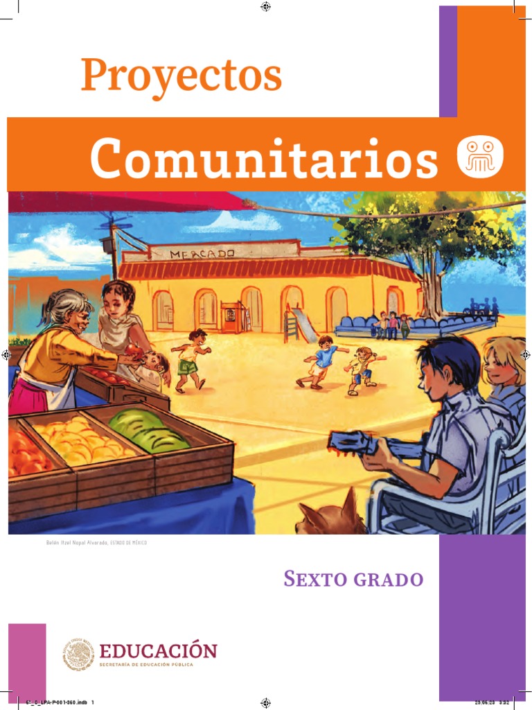 6º Proyectos Comunitarios Sexto Grado | PDF