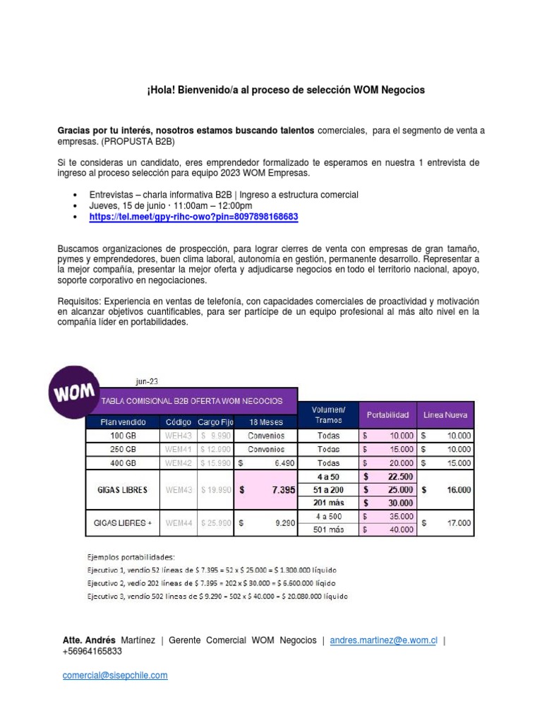 Oferta B2B Tabla de Comisiones Jun-Jul 2023 Wom Negocios | PDF