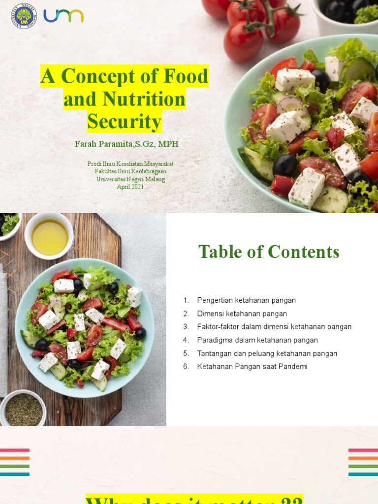 Concept Food Security | PDF | Food Security | Sustainability