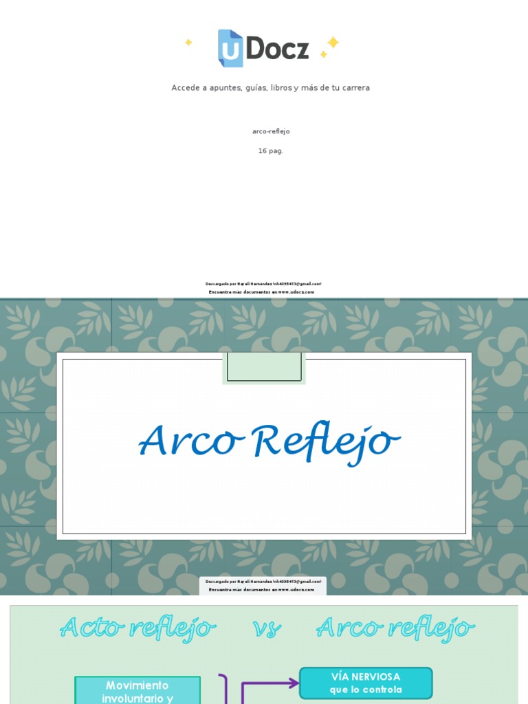 Arco Reflejo 119373 Downloable 3057147 | PDF | Dolor | Neurociencia