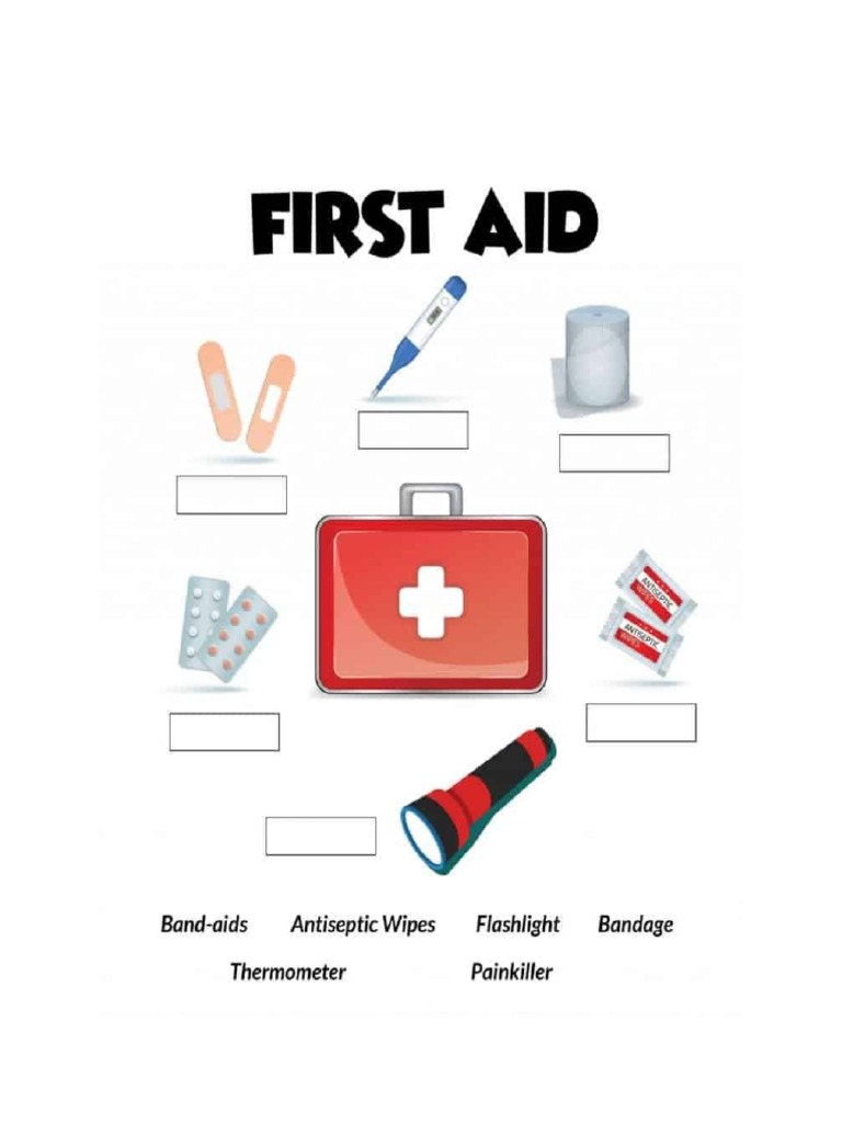 First Aid Worksheet | PDF