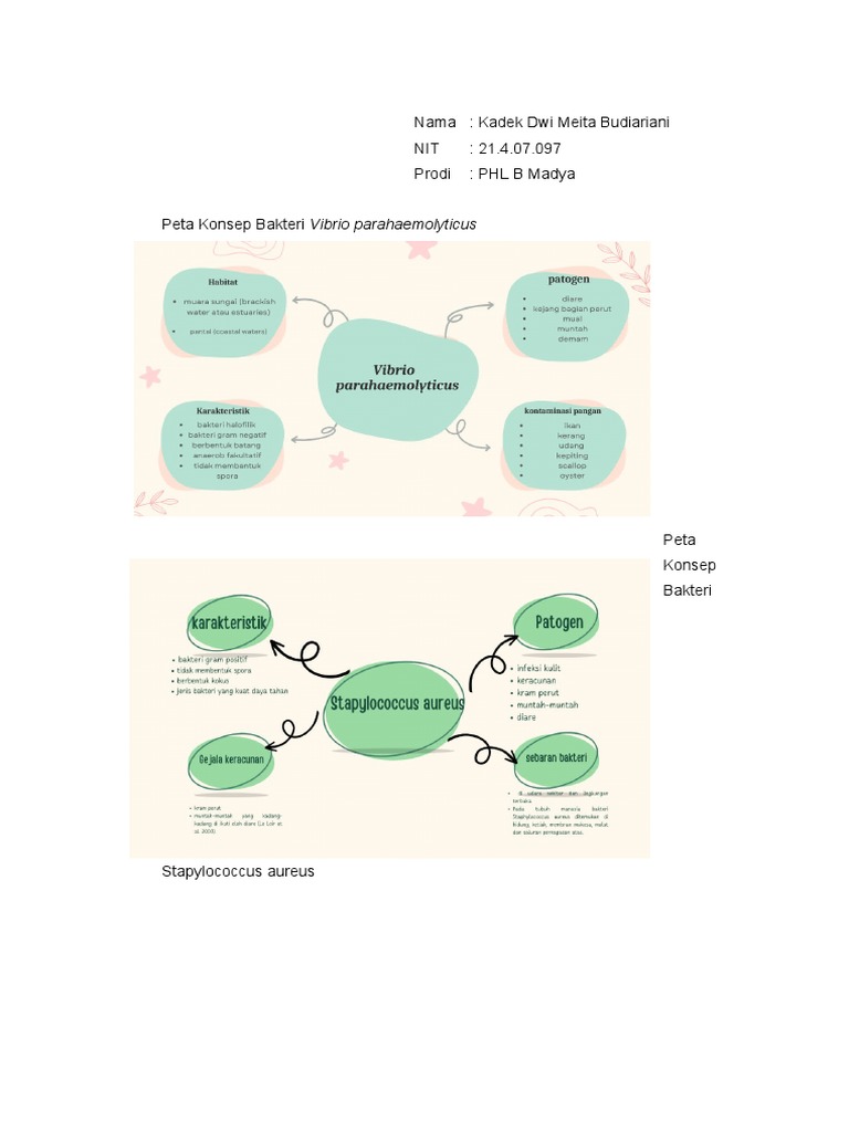 Tugas Mikro Hasper Mind Map Dan Rangkuman | PDF Tugas Mikro Hasper Mind Map Dan Rangkuman | PDF