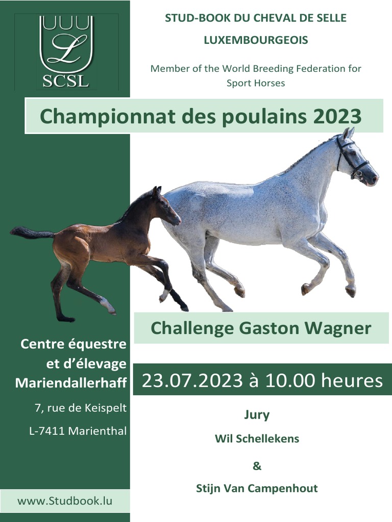 Championnat des Poulains 2023 | PDF | Chevaux | Equus (genre)