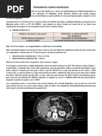 TC Dos Joelhos-Protocolo de Lyon-Tutorial | PDF