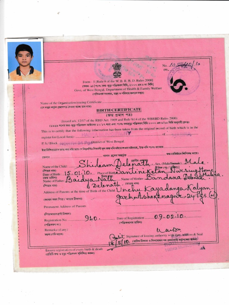 Birth Certificate Shibam | PDF