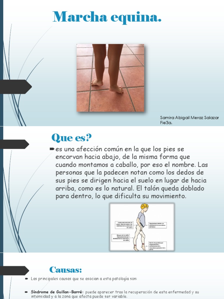 Marcha Equina Samira M | PDF