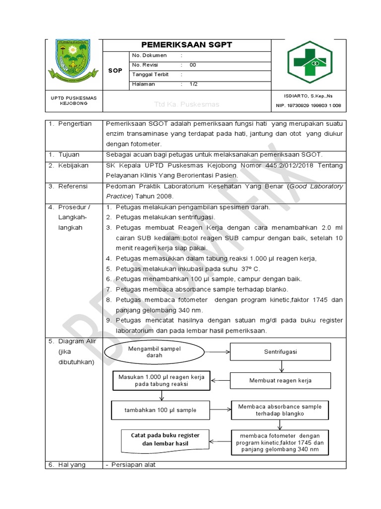 Panduan Pemeriksaan SGOT | PDF