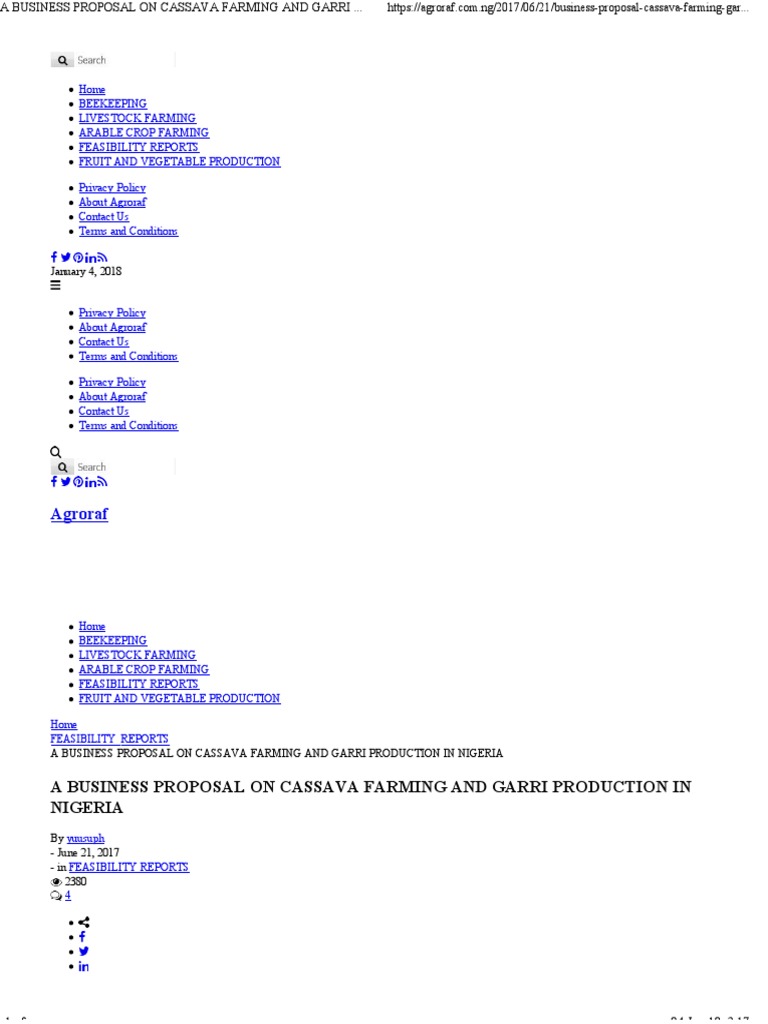 Cassava Farming & Garri Production Proposal | PDF | Net Present Value | Internal Rate Of Return