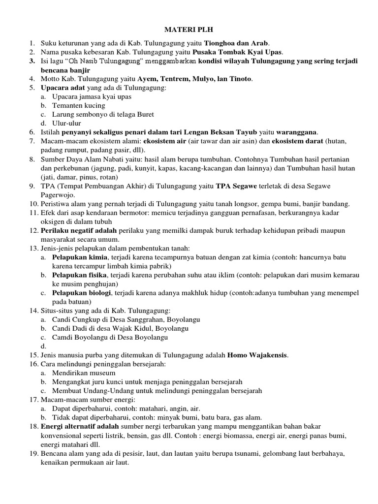 Materi PLH | PDF