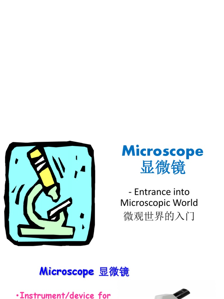 Chp 3 Microscope Pdf Microscopy Optics