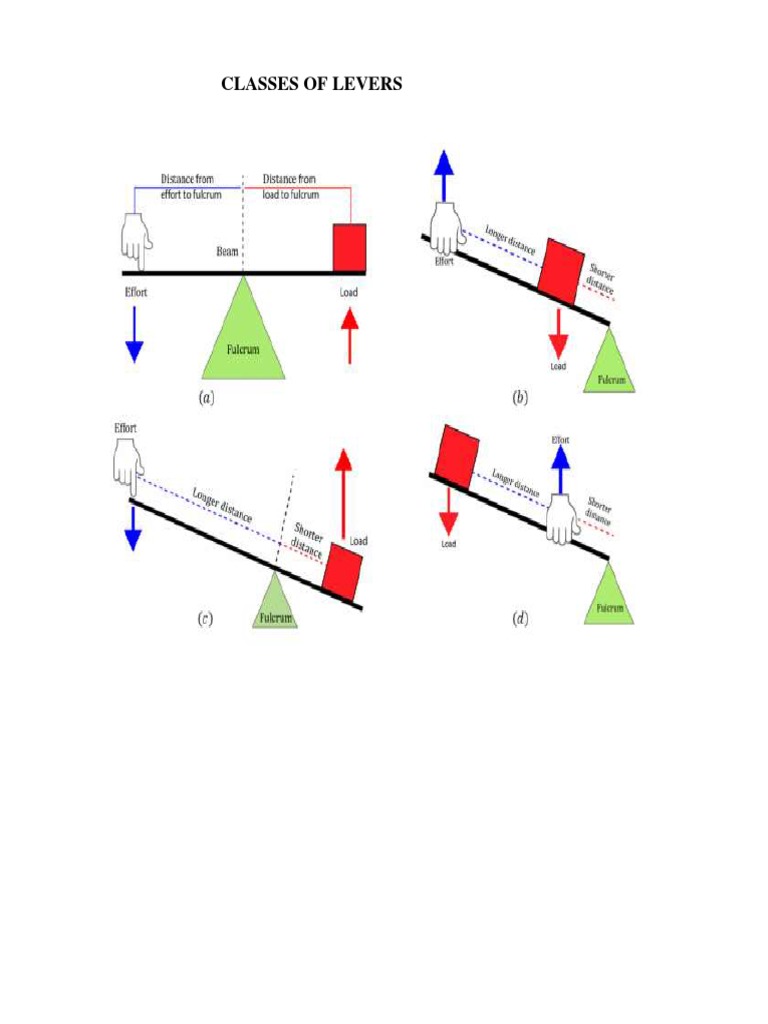 Physics Concepts and Experiments Guide | PDF