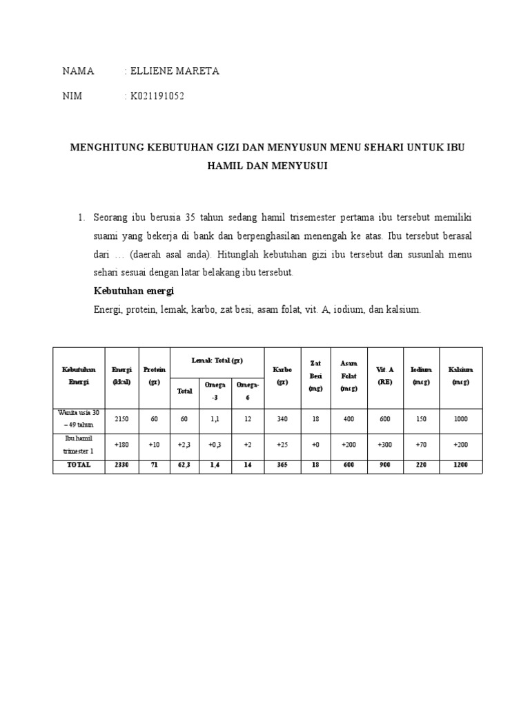 K021191052 - Elliene Mareta - Menu Ibu Hamil Dan Menyusui | PDF