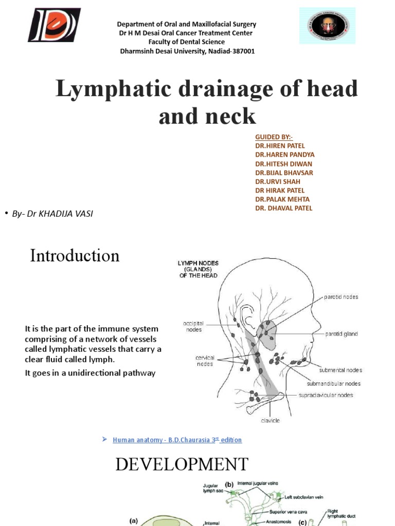 Lymphatic Drainage of Head and Neck | PDF | Neck | Lymphatic System