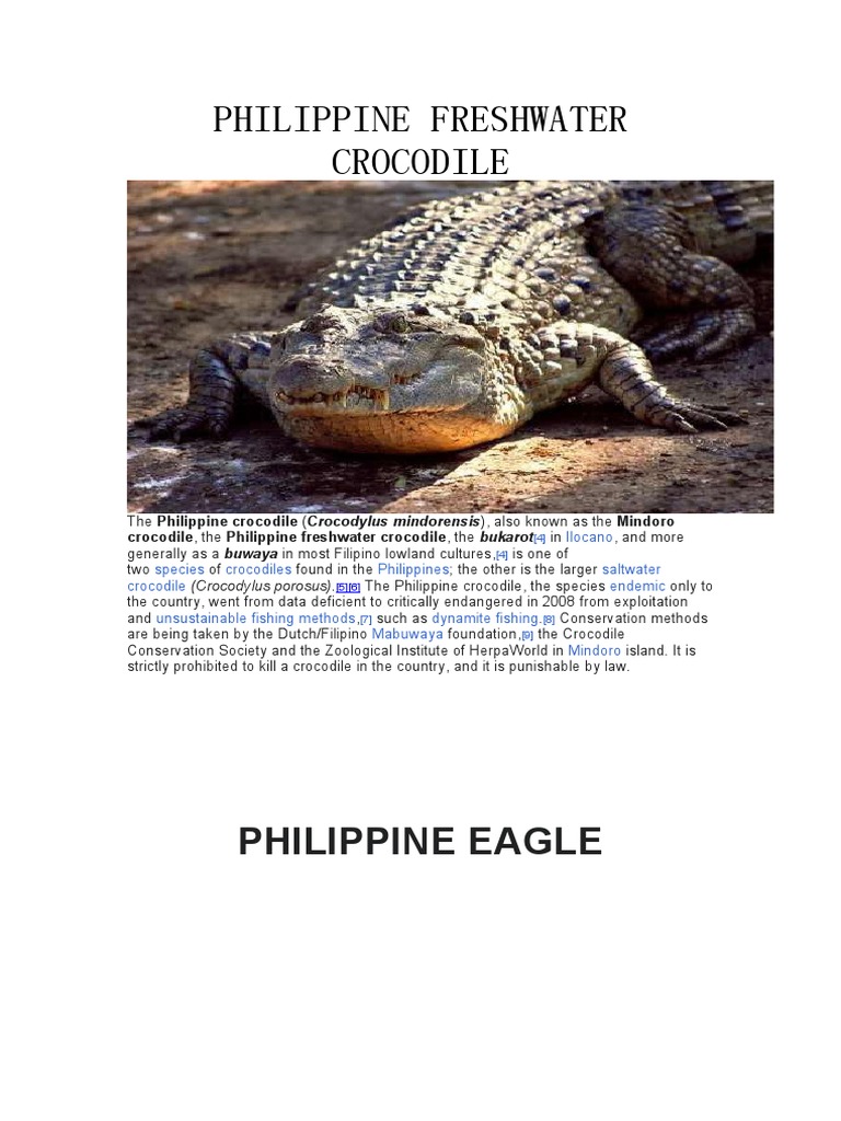 Endangered Philippine Wildlife | PDF