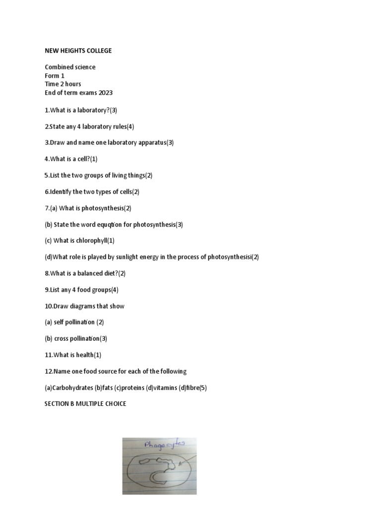 1.form 1 Science End of Term | PDF