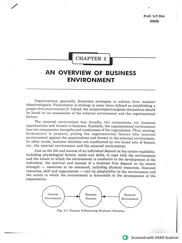 Bee Overview of Business Environment | PDF