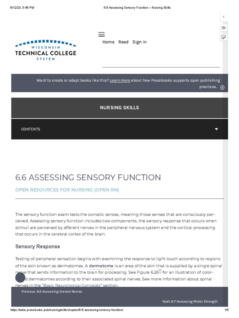 Sensory Function Assessment in Nursing | PDF | Somatosensory System ...