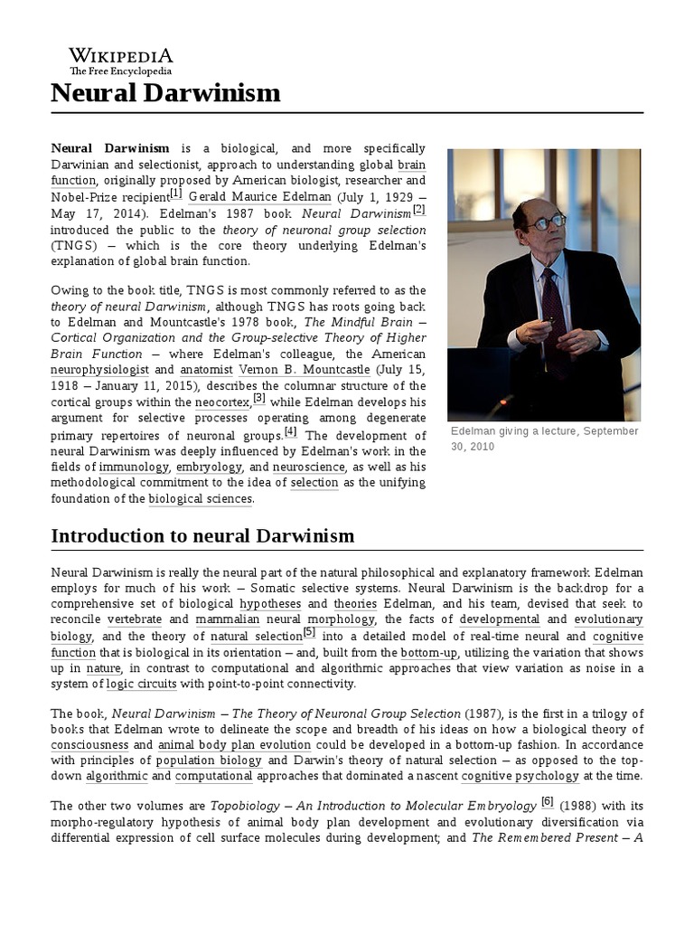 Neural Darwinism | PDF | Biology | Neuroscience