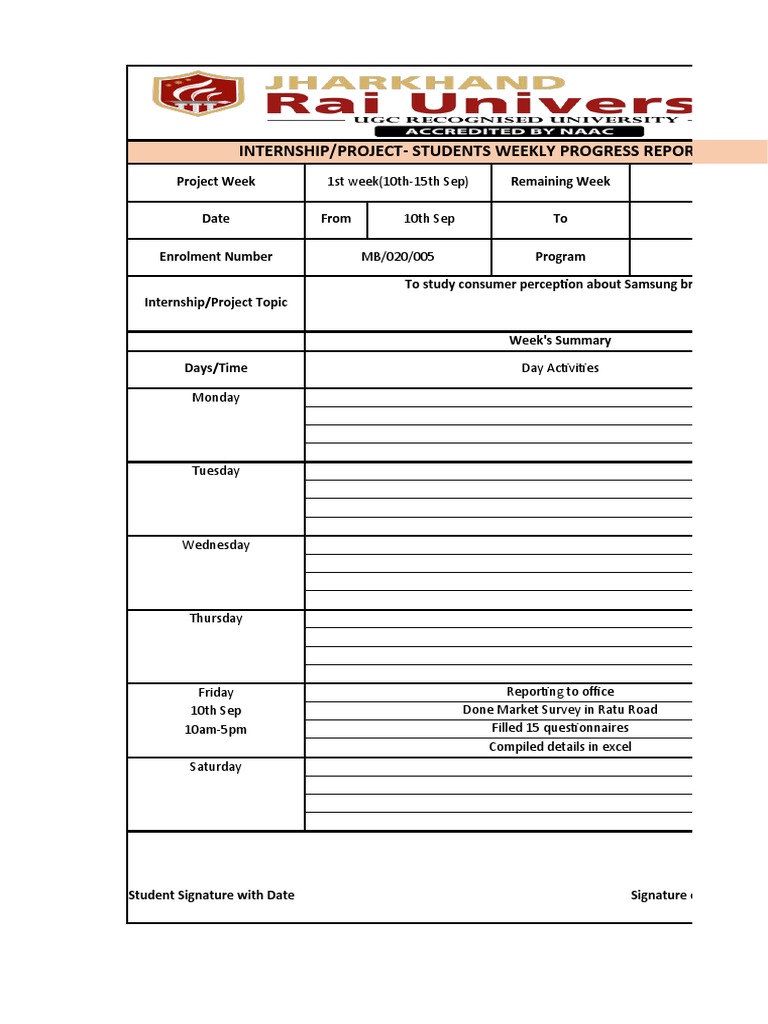 Weekly Internship Progress Report | PDF | Career & Growth