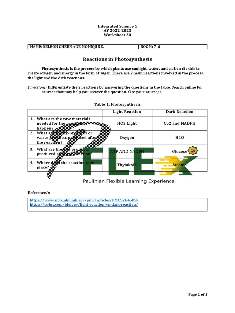 Photosynthesis Reactions Worksheet | PDF