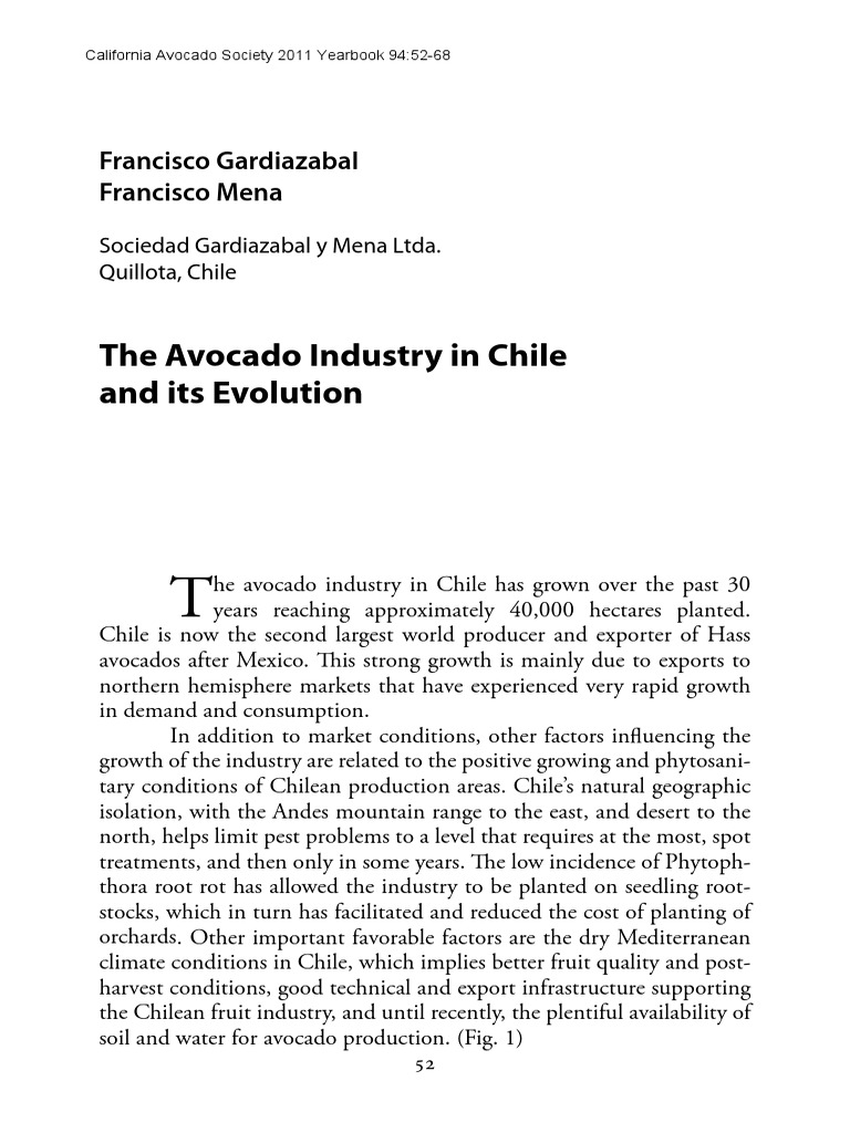 Chile's Avocado Industry Growth | PDF | Avocado | Pruning