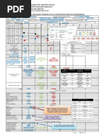 Diagnostico Enfermero: Formato Pes | PDF