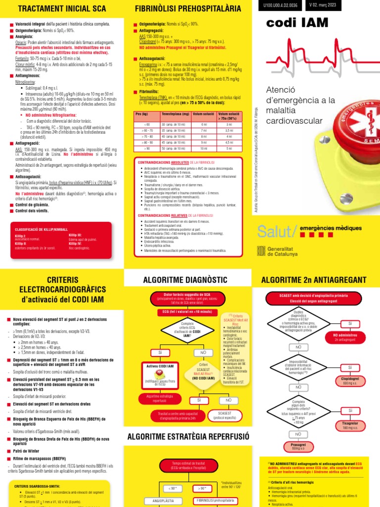 TRIPTIC IAM 2023 v02 | PDF