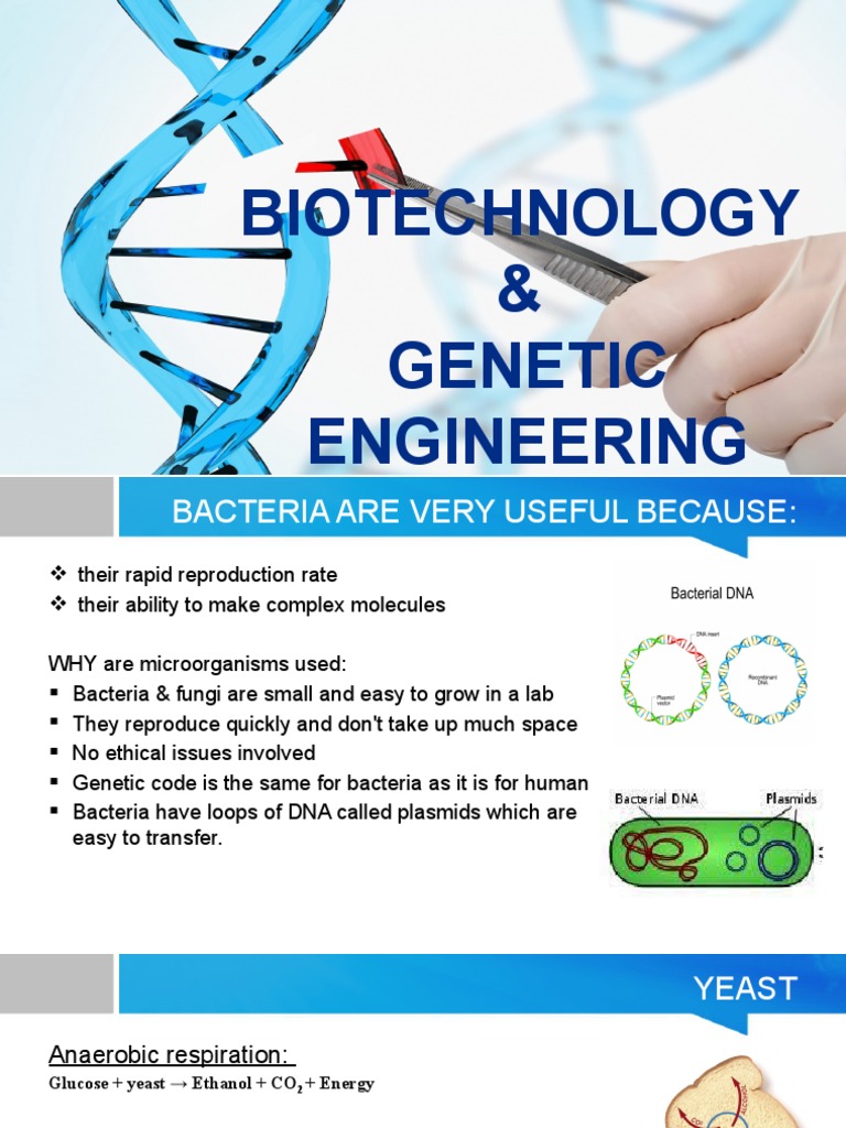 Biotechnology & Genetic Engineering | Download Free PDF | Yeast ...