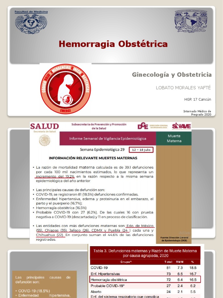 Hemorragia Obstétrica Pdf Periodo Posparto Parto