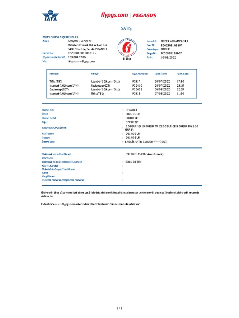 Pegasus Airlines Ticket | PDF