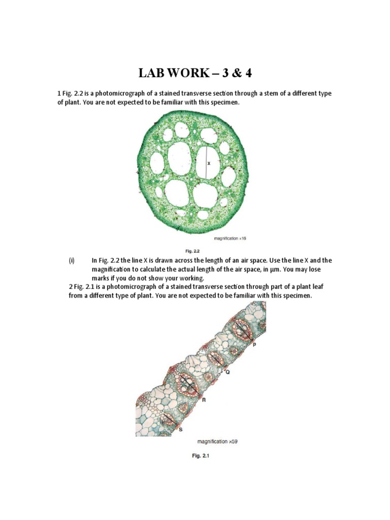 Microscope Pdf Microscopy Optics