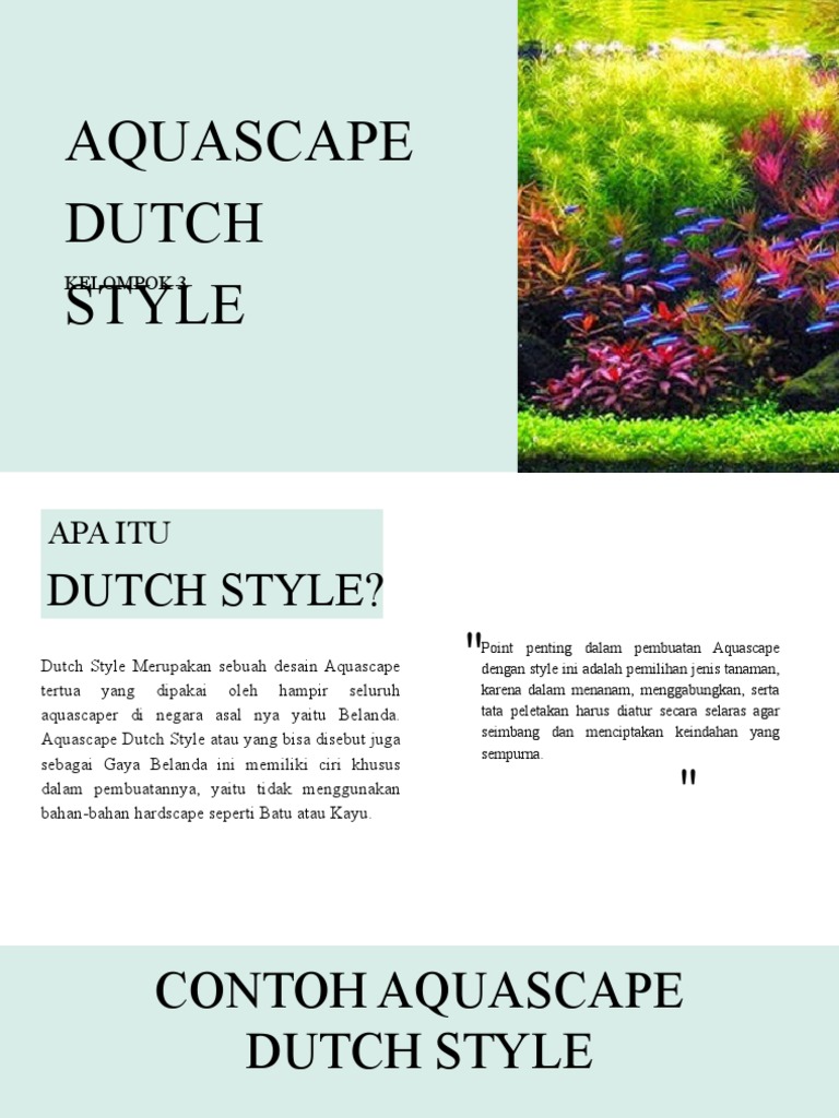 Aquascape Dutch Style | PDF
