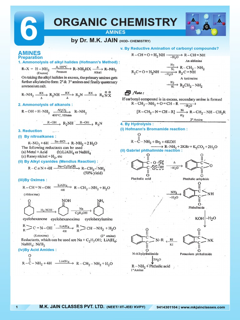 Amines Pdf Amine Chemical Reactions
