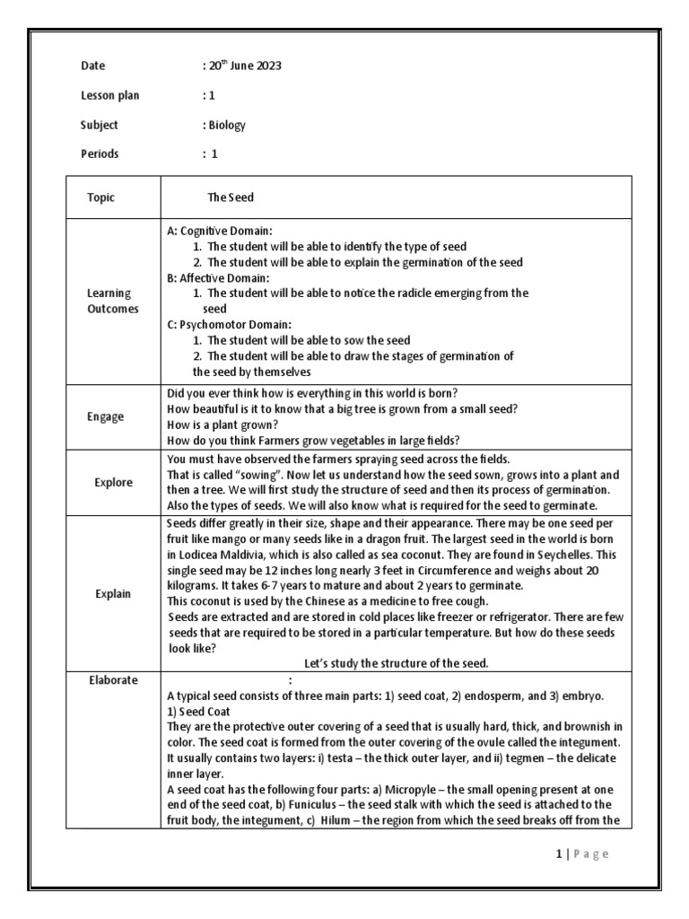 Lesson Plan Biology 6th Class | PDF | Seed | Germination