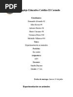 Ensayo - La Experimentación Animal | PDF | Pruebas en animales ...