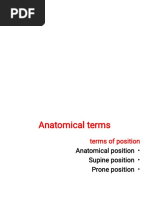 Mnemonics for Skeleton & Muscles | PDF | Human Leg | Foot