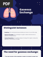 Gaseous Exchange Grade 11 | PDF | Breathing | Lung