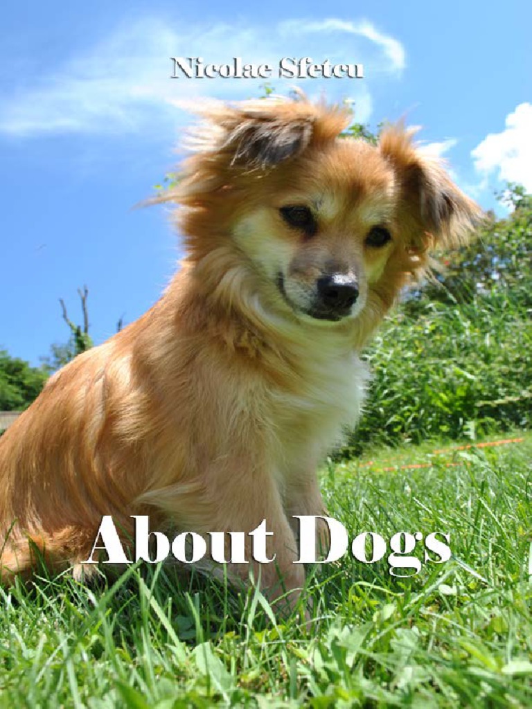 About Dogs | PDF | Breeds | Dogs