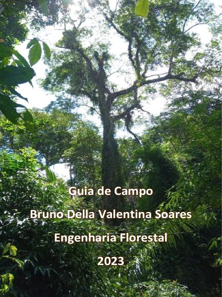 Trabalho Guia Bruno Della | PDF | Botânica | Árvores