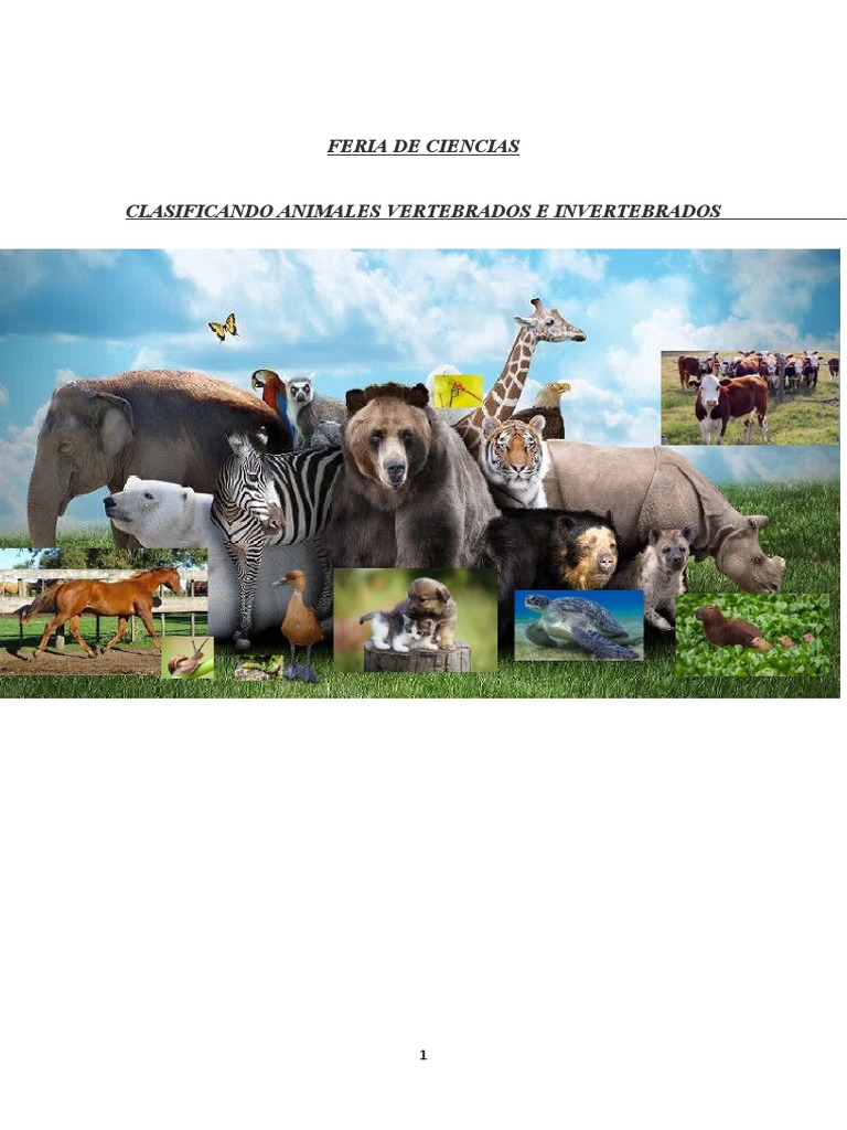 Clasificando Animales Vertebrados e Invertebrados | PDF | Esqueleto | Aves