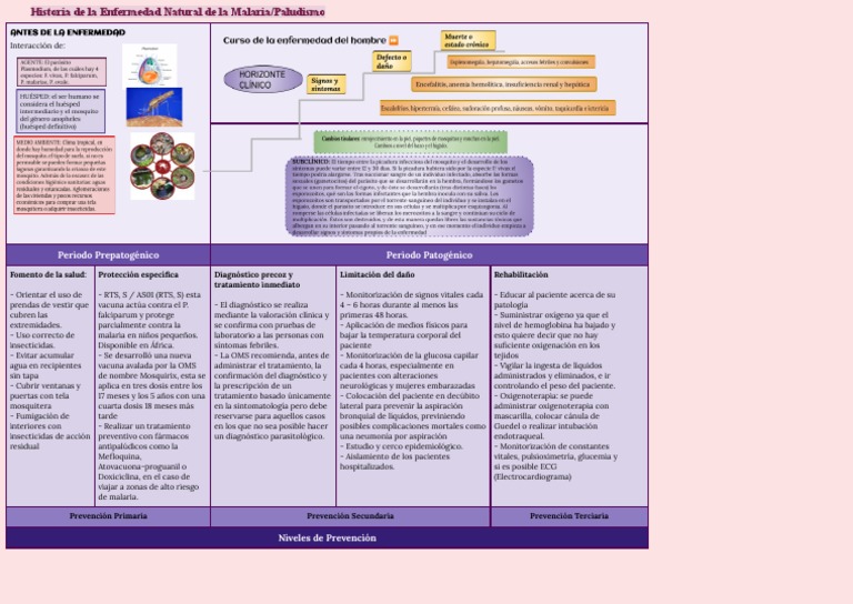 Paludismo-Historia de La Enfermedad | PDF | Malaria | Cuidado de la salud