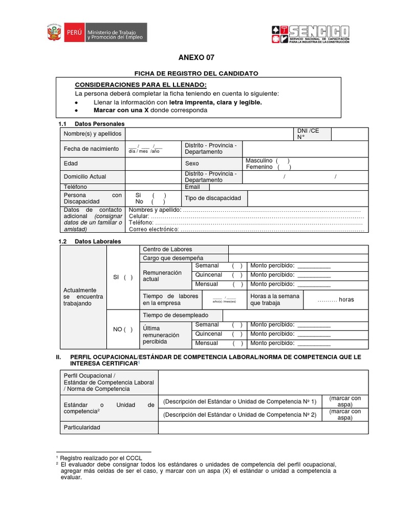 ANEXO 07. Modelo de Llenado | PDF