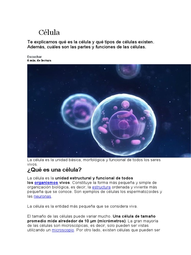c y t | PDF | Biología Celular) | Citoplasma