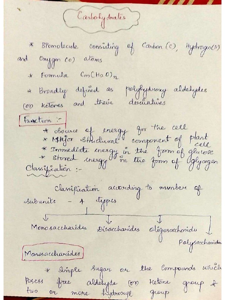 Carbohydrates Handwritten Material | PDF